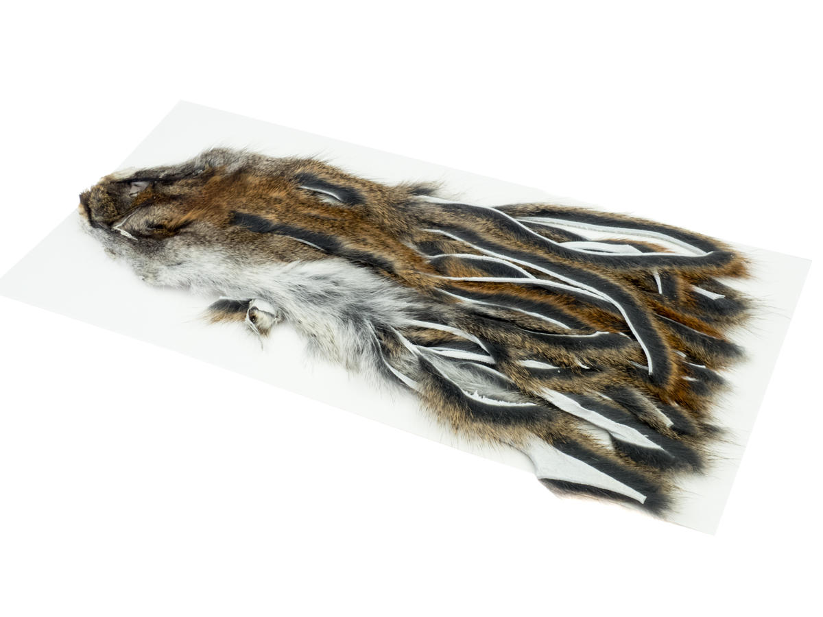 Wapsi Pine Squirrel Skin Zonked - Materiali - peli, pellicce - Negozio ...
